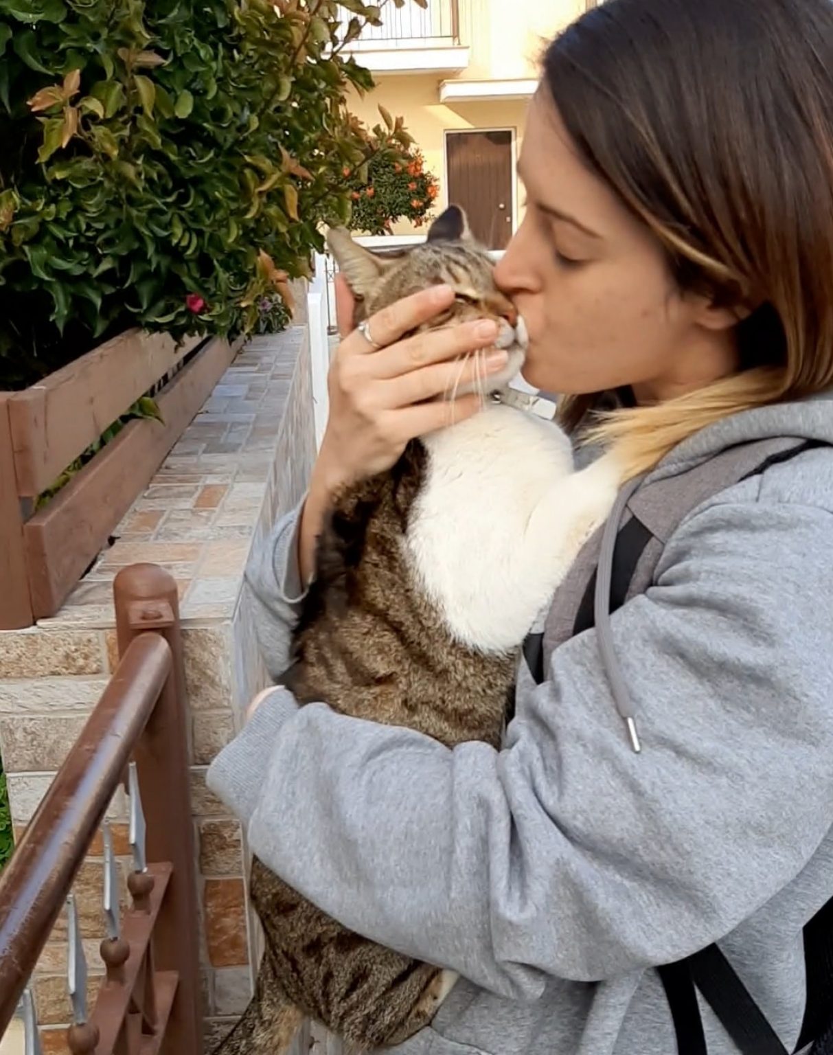 Finding a Lost Cat - 7 Effective Steps [Complete Guide]