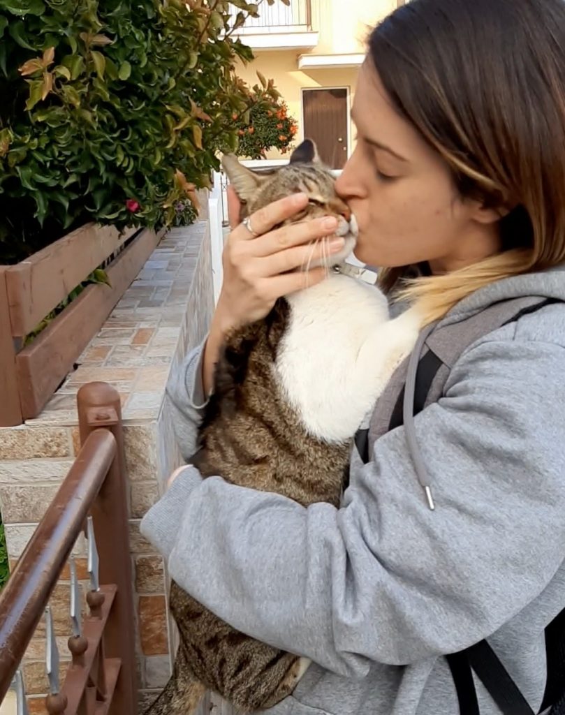 Finding a Lost Cat - 7 Effective Steps [Complete Guide]