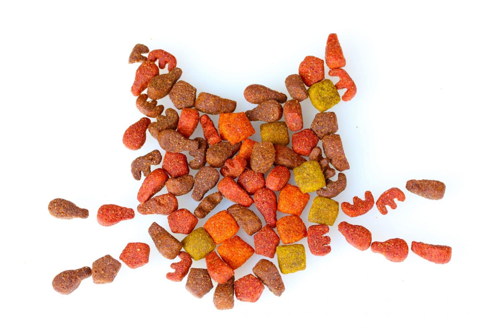 Cat food - The Ultimate Guide of Cat Nutrition [2024]