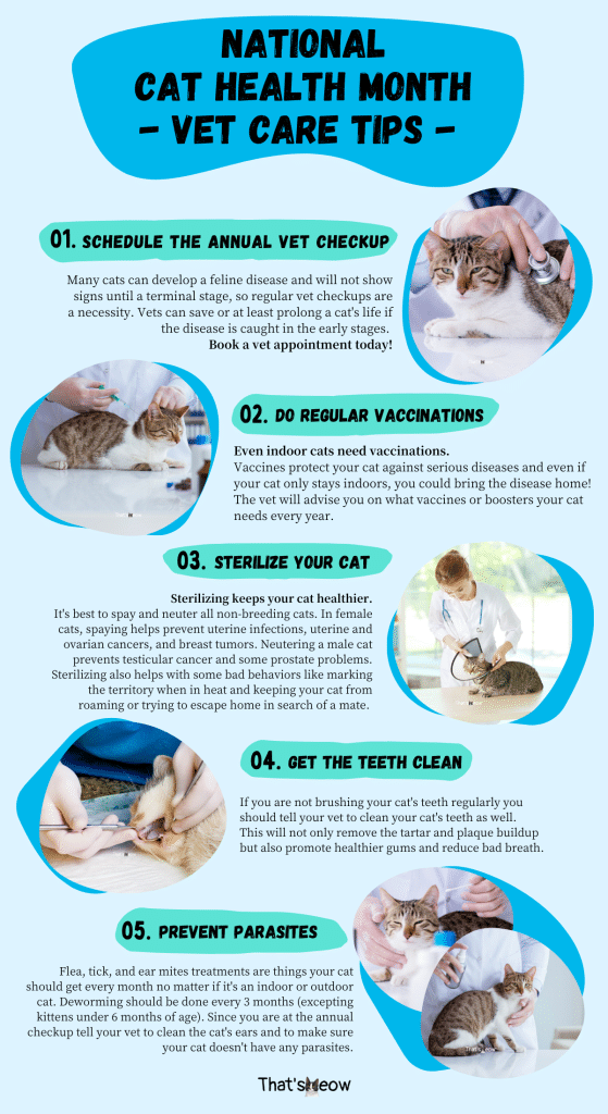 National Cat Health Month - Best 10 Cat Health Care Tips