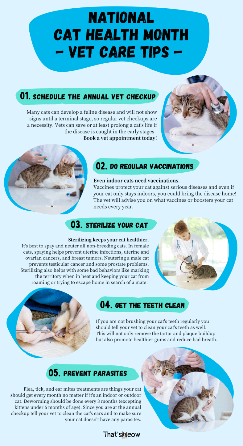 National Cat Health Month - Best 10 Cat Health Care Tips