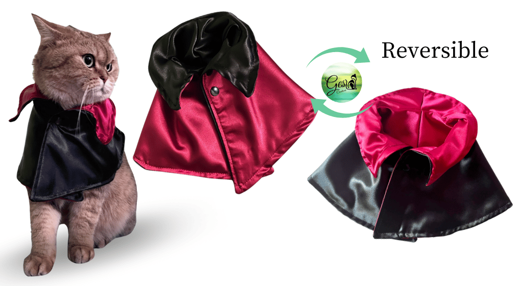 13 Best Halloween Costumes for Cats [Safe & Easy to Wear]