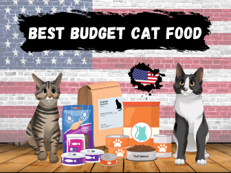 9 Stupid-Looking Cat Breeds + 7 "Stupid" Cat Breeds [NEW]